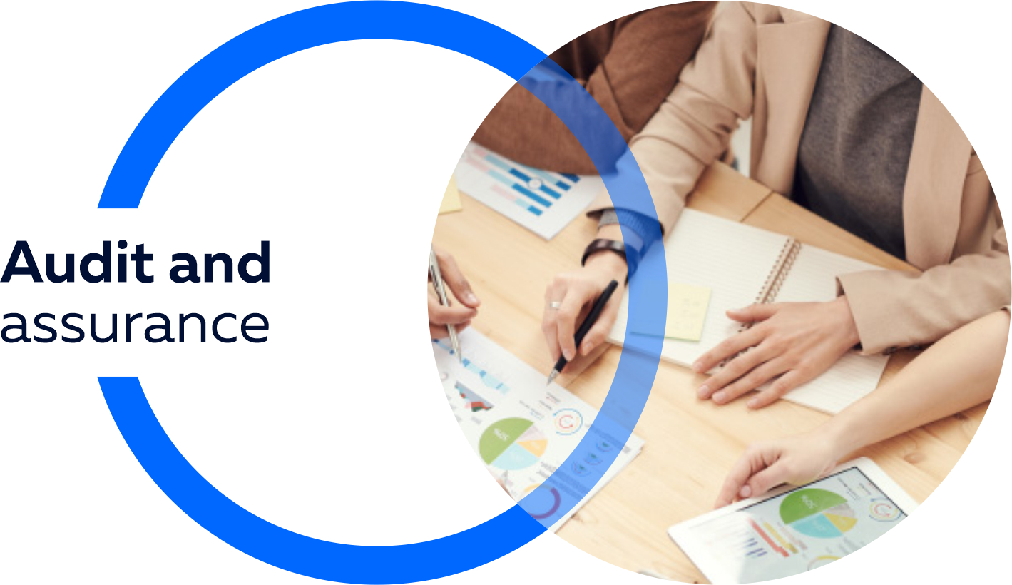 Audit and Assurance